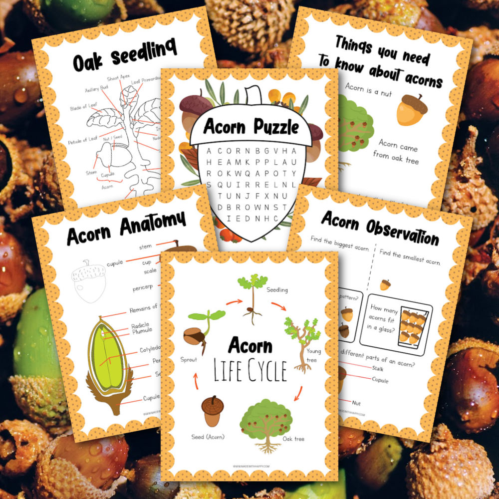 Fall Printable Bundle – madewithhappy