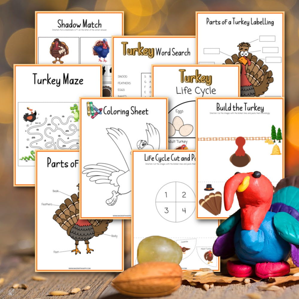 Turkey Facts For Kids Worksheets – madewithhappy
