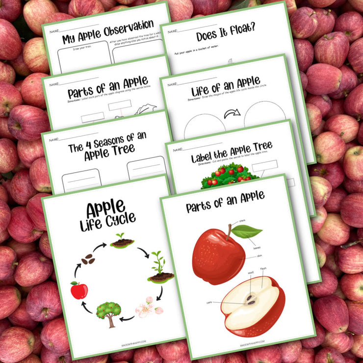 Apple Facts For Kids – madewithhappy